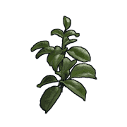 Rose Clone • Rust Wiki