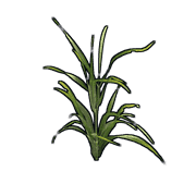 Wheat Clone • Rust Wiki