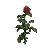 Rose • Rust Wiki
