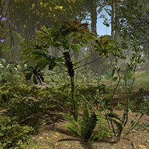 Small Trumpet Tree Sapling • Rust Wiki