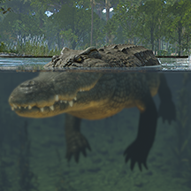 Crocodile • Rust Wiki