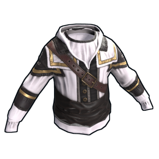 Skin: Krolay & Nikof Team Hoodie • Rust Wiki