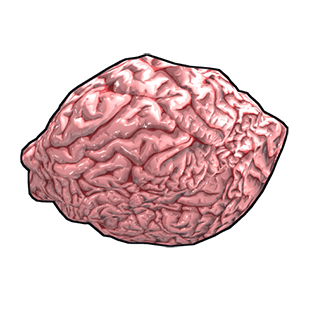 Skin: Fresh Brain • Rust Wiki