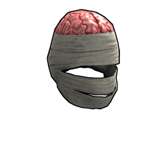 Skin: Wrapped Brain • Rust Wiki