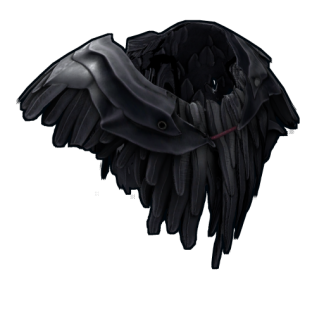 Skin: Raven Poncho • Rust Wiki