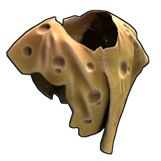 Skin: Cheese Poncho • Rust Wiki